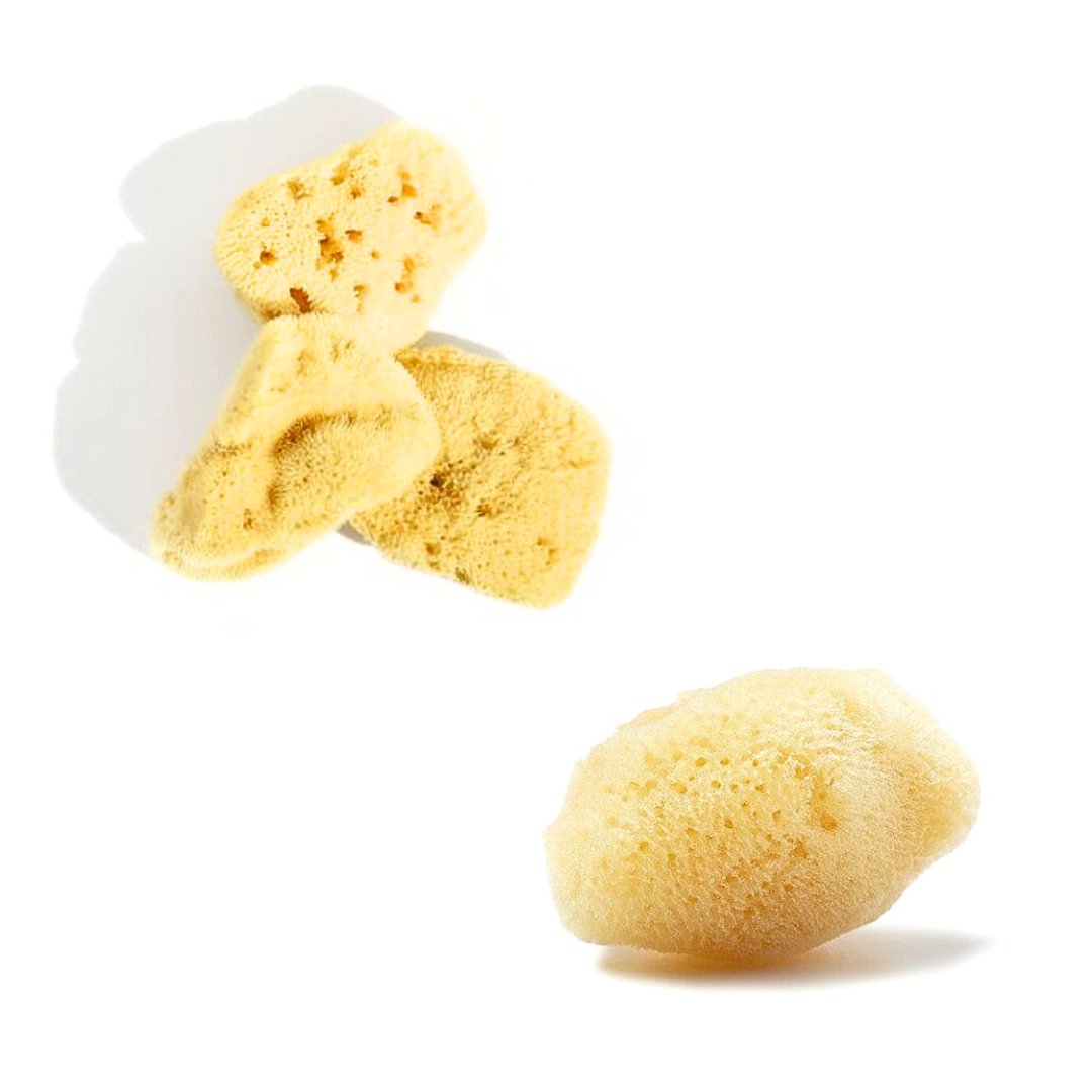 The Facial Bundle - Facial Sea Sponge & Beauty Sea Sponge