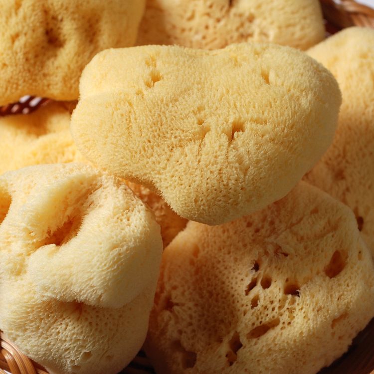 Natural Silk Sea Sponge For Facial Care - Nisiá