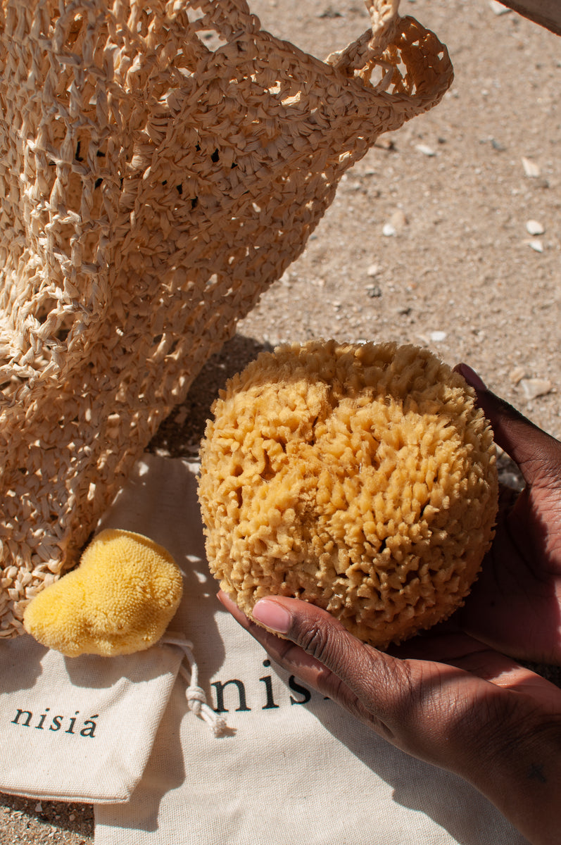 Shower Sea Sponge for Body | The Bundle - Nisiá